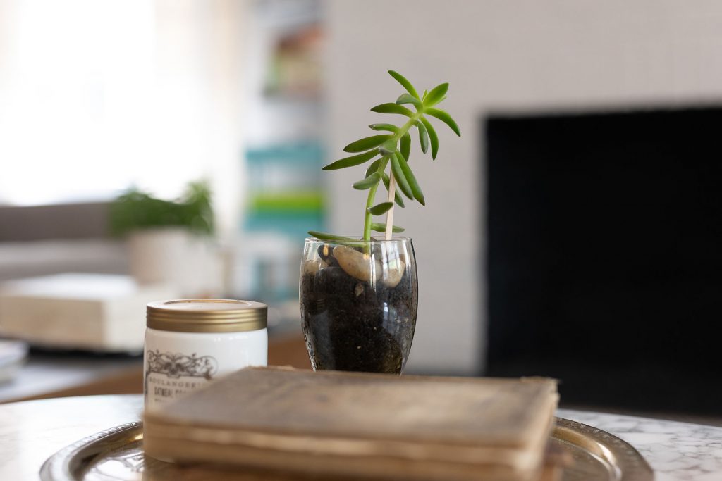 Our Space - Kelly Boyce